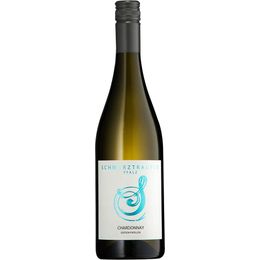 Weingut Schwarztrauber Chardonnay 2024 Trocken - Pfalz &ndash; Wei&szlig;wein Qualit&auml;tswein