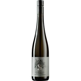 Andrea Schenter Reserve Gr&uuml;ner Veltliner 2019 Trocken - Ried Frauenberg Kremstal DAC &ndash; Wei&szlig;wein Qualit&auml;tswein