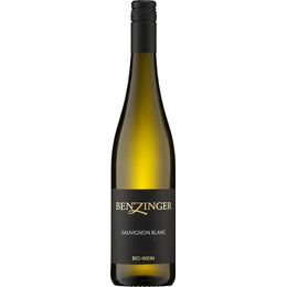 Weingut Benzinger Sauvignon Blanc 2024 Trocken - Obers&uuml;lzer Schnepp Pfalz &ndash; Wei&szlig;wein Qualit&auml;tswein