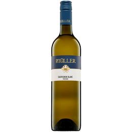 Weingut Axel M&uuml;ller Weingut Axel M&uuml;ller Sauvignon Blanc 2025 Trocken - Rheinhessen &ndash; Wei&szlig;wein Qualit&auml;tswein