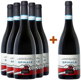 Nima 5+1 Paket "Spinale" del Vulture Aglianico 2022 Trocken - Basilikata &ndash; Probierpaket DOC