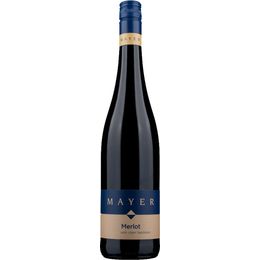 Weinhof Mayer - vom roten Sandstein Merlot 2022 Trocken Nahe &ndash; Rotwein Qualit&auml;tswein