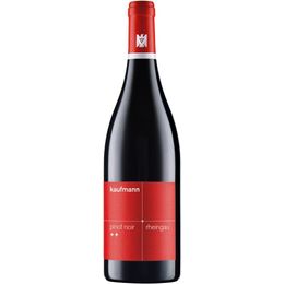 Weingut Kaufmann Pinot Noir Barrique ++ Sp&auml;tburgunder 2023 Trocken - Rheingau &ndash; Rotwein VDP.Ortswein