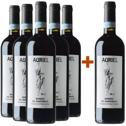 Auriel 5+1 Paket del Monferrato Barbera 2020 Trocken - Piemont &ndash; Probierpaket DOC