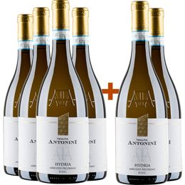 Tenuta Antonini Alessio 4+2 Paket Hydria d'Abruzzo Pecorino 2024 Trocken - Abruzzen &ndash; Probierpaket DOC