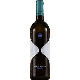 Tenuta Manoylo Falerio Pecorino 2021 Trocken - Marken &ndash; Wei&szlig;wein DOC