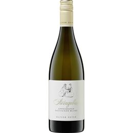 Weingut Oliver Zeter Steingebiss Sauvignon Blanc 2023 Trocken - Pfalz &ndash; Wei&szlig;wein Deutscher Wein
