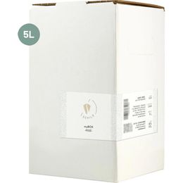 SCHILD.WEIN myBOX -ROS&Eacute;- 5,0 L Portugieser 2024 Feinherb - Rheinhessen &ndash; Ros&eacute; Qualit&auml;tswein
