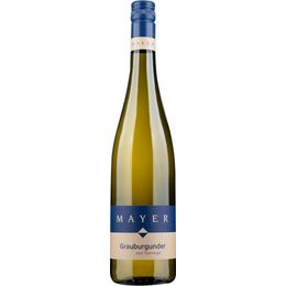 Weinhof Mayer Grauburgunder 2025 Feinherb - Nahe &ndash; Wei&szlig;wein Qualit&auml;tswein