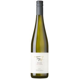 Weingut Reinhard Topf Kamptal DAC Ried Riesling 2024 Trocken - Gaisberg &ndash; Wei&szlig;wein Qualit&auml;tswein