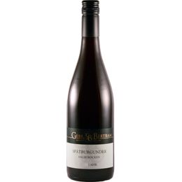 Weingut Gebr&uuml;der Bertram Weingut Gebr&uuml;der Bertram Ahr Sp&auml;tburgunder 2022 Halbtrocken - &ndash; Rotwein Qualit&auml;tswein