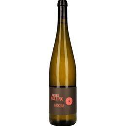 Weingut Keber Kolling Bacchus 2024 S&uuml;&szlig; - Nahe &ndash; Wei&szlig;wein Qualit&auml;tswein