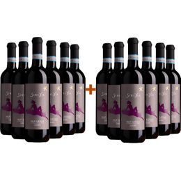 Siridia 6+6 Paket Valpolicella Classico Cuv&eacute;e 2019 Trocken - Venetien &ndash; Probierpaket DOC