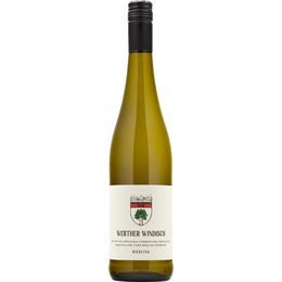 Weingut Werther-Windisch Gutswein Riesling 2024 Trocken - Rheinhessen &ndash; Wei&szlig;wein Qualit&auml;tswein