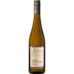 Winzer der Rheinhessischen Schweiz Gelber Muskateller 2024 Feinherb - Rheinhessen &ndash; Wei&szlig;wein Qualit&auml;tswein