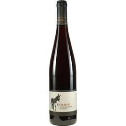 Weingut Michael Bender Sp&auml;tburgunder 2022 Trocken - Pfalz &ndash; Rotwein Qualit&auml;tswein
