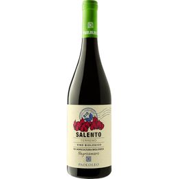 Cantine Paololeo Terreno Salento Negroamaro 2022 Trocken - Puglia Apulien &ndash; Rotwein IGP