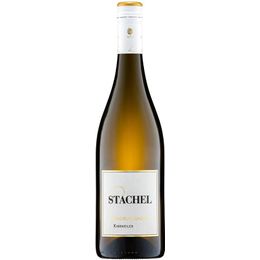 Weingut Erich Stachel vom L&ouml;ss Grauburgunder 2025 Trocken - Kirrweiler Pfalz &ndash; Wei&szlig;wein Qualit&auml;tswein