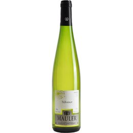 Domaine Jean-Paul Mauler Sylvaner Alsace Silvaner 2024 Trocken - Elsass &ndash; Wei&szlig;wein AOP
