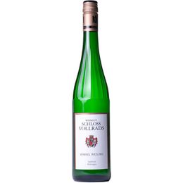 Schloss Vollrads VDP.ORTSWEIN Riesling 2024 S&uuml;&szlig; - Winkel Rheingau &ndash; Wei&szlig;wein Sp&auml;tlese