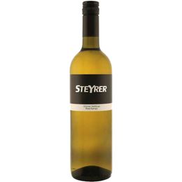Weingut Steyrer Traisental DAC Ried Rampl Gr&uuml;ner Veltliner 2025 Trocken - &Ouml;sterreich/Traisental/Kuffern &ndash; Wei&szlig;wein Qualit&auml;tswein