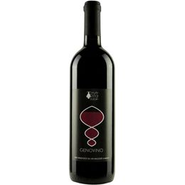 Tenuta Rita Solari Genovino Organic Red Wine - Blend Barbera and Merlot Cuv&eacute;e Lieblich Piacenza, Ziano Piacentino Emilia Romagna &ndash; Rotwein Vino Gener
