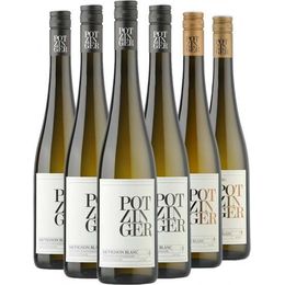 Weingut Stefan Potzinger Paket Sauvignon Blanc Trocken - Verschiedene Regionen &ndash; Probierpaket Qualit&auml;tswein