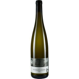 Weingut Jeger Weissburgunder Wei&szlig;burgunder 2024 Trocken - Palzemer Lay Mosel &ndash; Wei&szlig;wein Qualit&auml;tswein