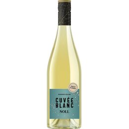 Weingut Noll Cuv&eacute;e blanc 2023 Halbtrocken - Baden &ndash; Wei&szlig;wein Qualit&auml;tswein