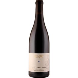 Weingut J&uuml;rgen Heu&szlig;ler Sp&auml;tburgunder 2019 Trocken - Rhodter Klosterpfad Pfalz &ndash; Rotwein Sp&auml;tlese