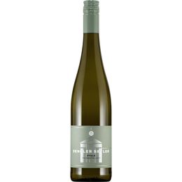 Weingut Dengler Seyler Muskateller 2024 Feinherb - Pfalz &ndash; Wei&szlig;wein Qualit&auml;tswein