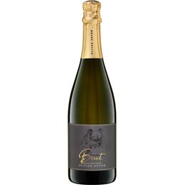 Weingut Oliver Zeter Brut brut Sauvignon Blanc - Pfalz &ndash; Perl- & Schaumwein Perlwein mit zugesetzter Kohlens&auml;ure