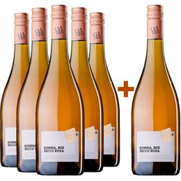 Weingut Baldauf 5+1 Paket Frank & Frei Secco Rosa alkoholfrei - Franken &ndash; Probierpaket Entalkoholisierter Wein