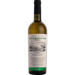 Blasi Cantina Umbria Sauvignon Blanc 2023 Trocken - Umbrien &ndash; Wei&szlig;wein IGP