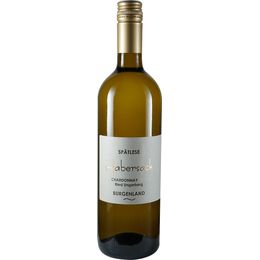 Weingut Habersack Chardonnay 2023 S&uuml;&szlig; - Ungerberg Burgenland &ndash; Wei&szlig;wein Sp&auml;tlese