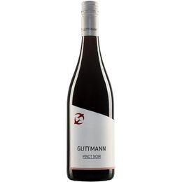 Weingut Guttmann Michael Pinot Noir Sp&auml;tburgunder 2021 Trocken - Burgenland &ndash; Rotwein Qualit&auml;tswein