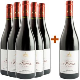 Cantine Valenti 5+1 Paket Norma Etna Rosso Cuv&eacute;e 2020 Trocken - Sizilien &ndash; Probierpaket DOC