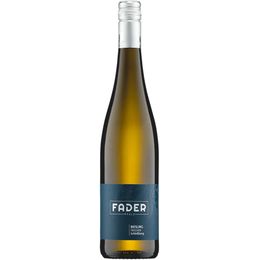 Weingut Fader Rhodter Schlo&szlig;berg Riesling 2023 Trocken - Rhodt u. Riedburg Pfalz &ndash; Wei&szlig;wein Qualit&auml;tswein