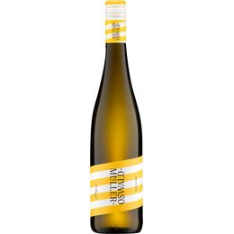 Weingut Oswald Riesling 2025 Trocken - Rheinhessen &ndash; Wei&szlig;wein Qualit&auml;tswein