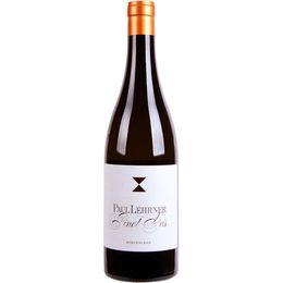 Weingut Paul Lehrner Grauburgunder 2021 Trocken - Burgenland &ndash; Wei&szlig;wein Qualit&auml;tswein