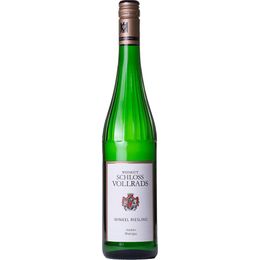Schloss Vollrads Winkel VDP.ORTSWEIN Riesling 2024 Trocken - Rheingau – Weißwein Kabinett