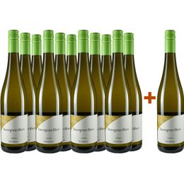 Weingut Dieter Heinz 11+1 Paket Sauvignon Blanc 2024 Trocken - Rheinhessen &ndash; Probierpaket Qualit&auml;tswein
