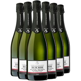 Cava Conde de Valicourt Aktionspaket Pas Sucre Nature Gran Reserva Guarda Superior DO Cuv&eacute;e 2022 Brut nature - Katalonien &ndash; Probierpaket DOP
