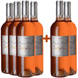 Fabrizio Battaglino 4+2 Paket Ros&egrave; Cuv&eacute;e Trocken - Piemont &ndash; Probierpaket Vino Generico