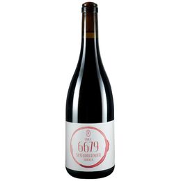 Weingut Ziser Fehrenbach Sp&auml;tburgunder 2022 Trocken - Baden &ndash; Rotwein Qualit&auml;tswein