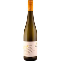 Weingut Kirch Riesling 2023 Trocken - Volkacher Ratsherr Franken &ndash; Wei&szlig;wein Kabinett