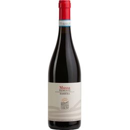 Cascina Carl&ograve;t Mussa Piemonte Barbera 2024 Trocken - Piemont &ndash; Rotwein DOC