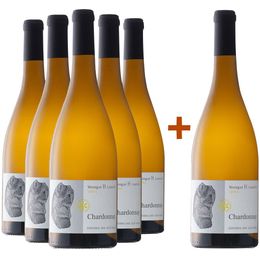 Weingut H. Lentsch 5+1 Paket S&uuml;dtiroler Alto Adige Chardonnay 2021 Trocken - S&uuml;dtirol &ndash; Probierpaket DOC