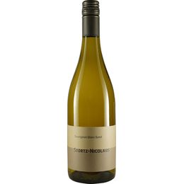 Wein- & Sektgut Stortz-Nicolaus fum&eacute; Sauvignon Blanc 2022 Trocken - Pfalz &ndash; Wei&szlig;wein Qualit&auml;tswein