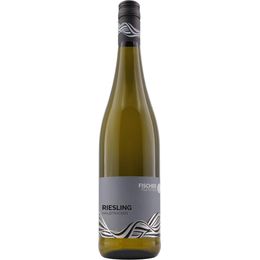 Weingut Fischer "Filetst&uuml;ck" Riesling 2024 Halbtrocken - Franken &ndash; Wei&szlig;wein Kabinett